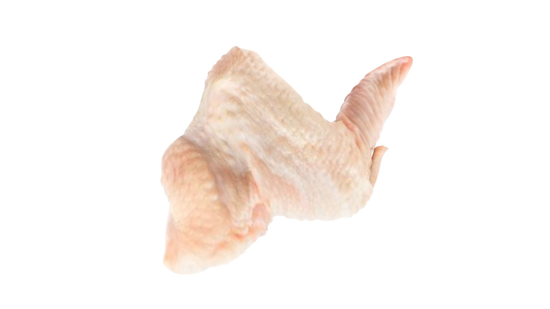 Chicken Wing 3D Model - TurboSquid 2249600
