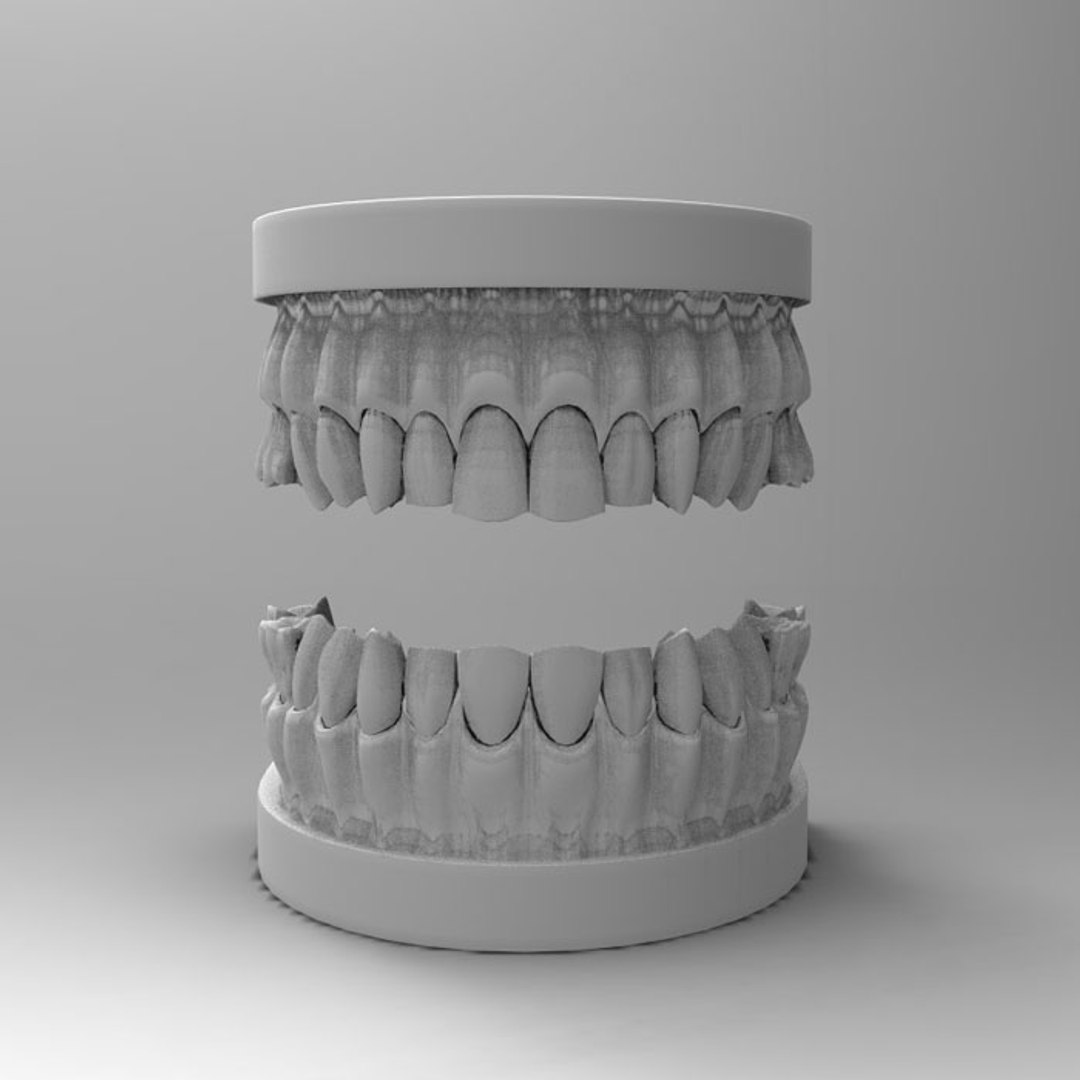 3ds Human Teeth Set
