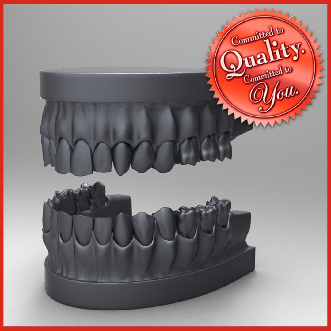 3ds Human Teeth Set