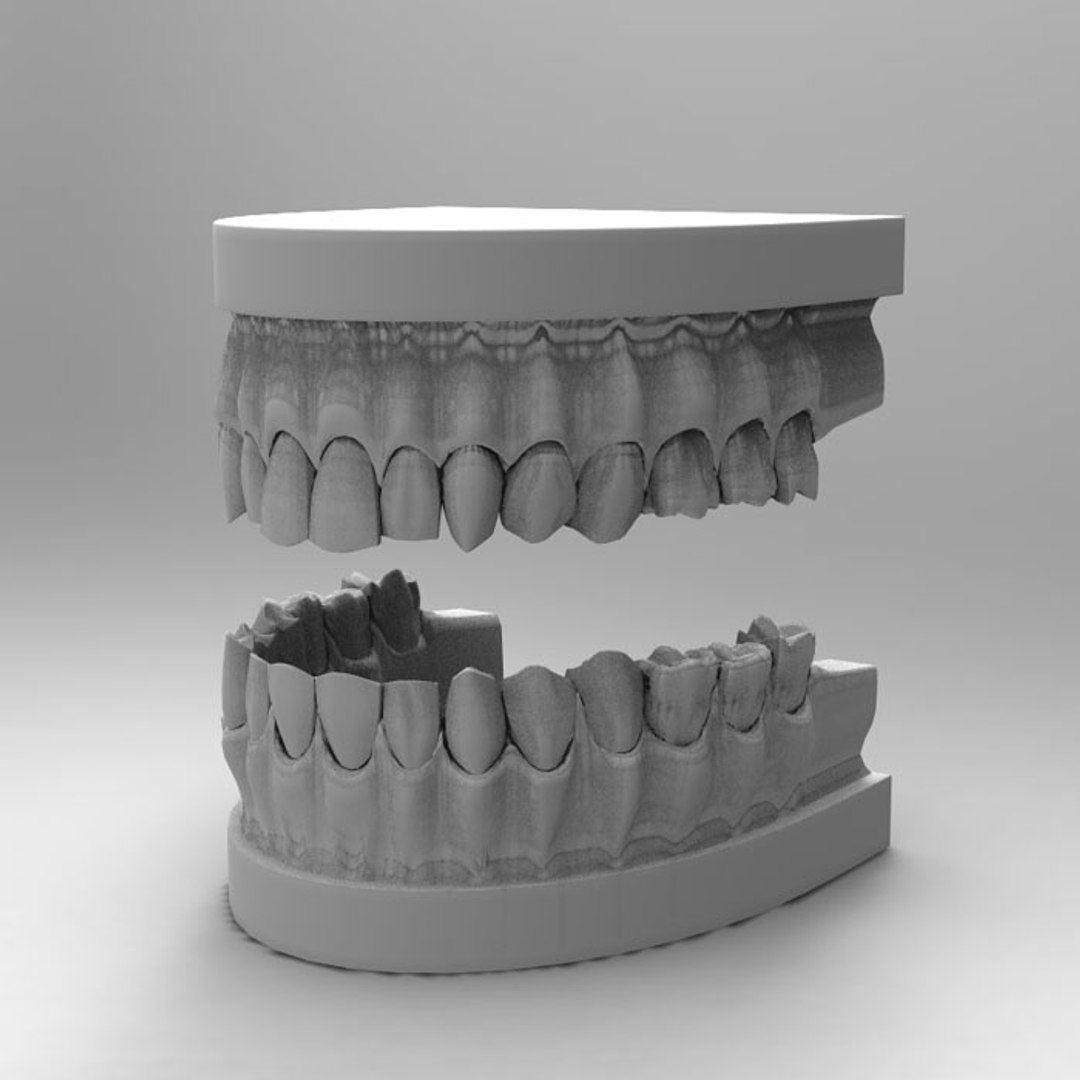 3ds Human Teeth Set
