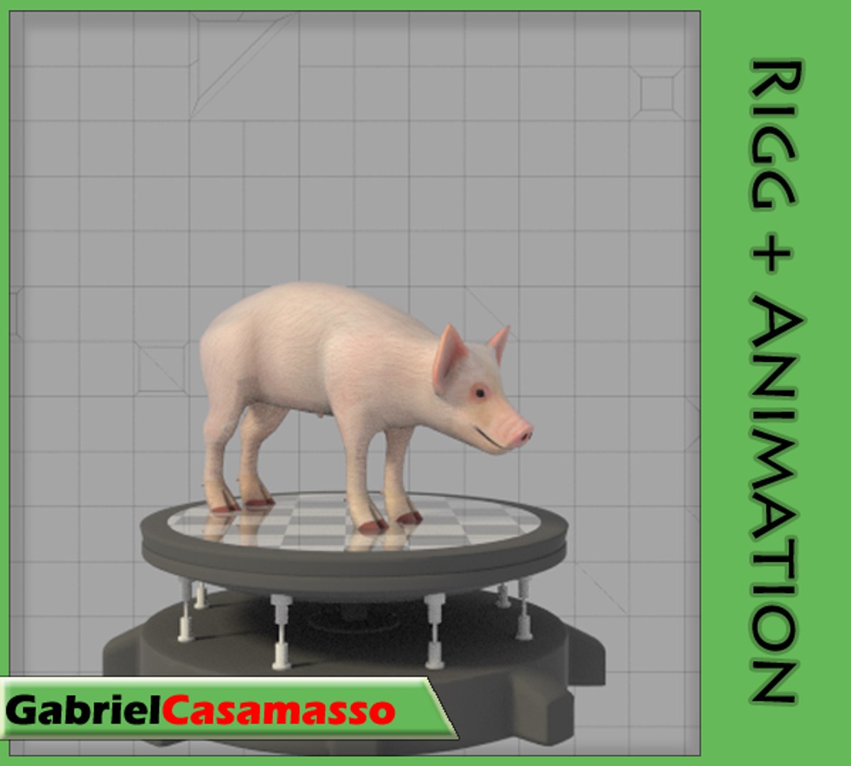 3d Pig Animation