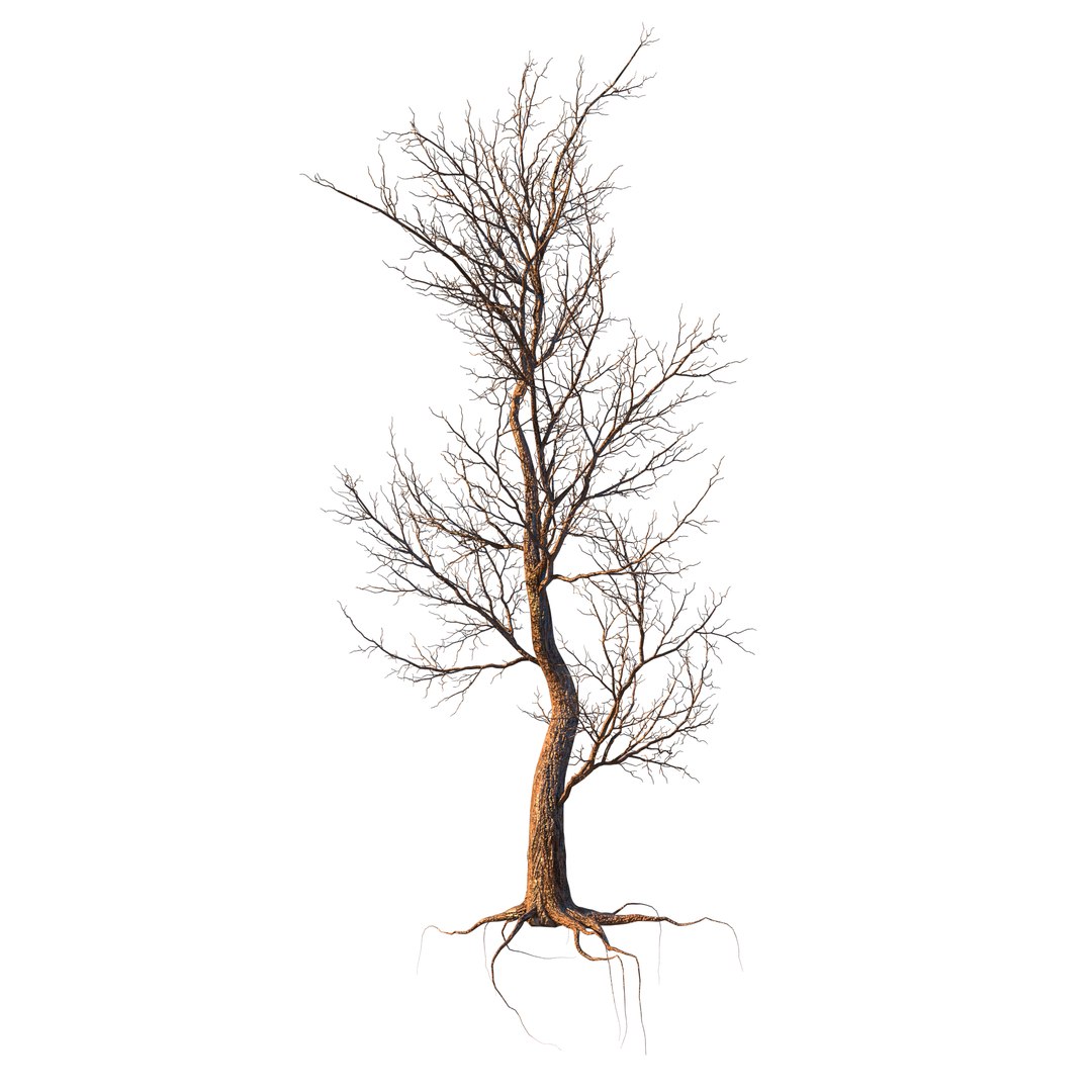 Tree Trunk 3D - TurboSquid 1221769