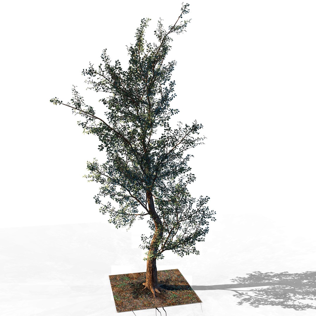 Tree Trunk 3D - TurboSquid 1221769
