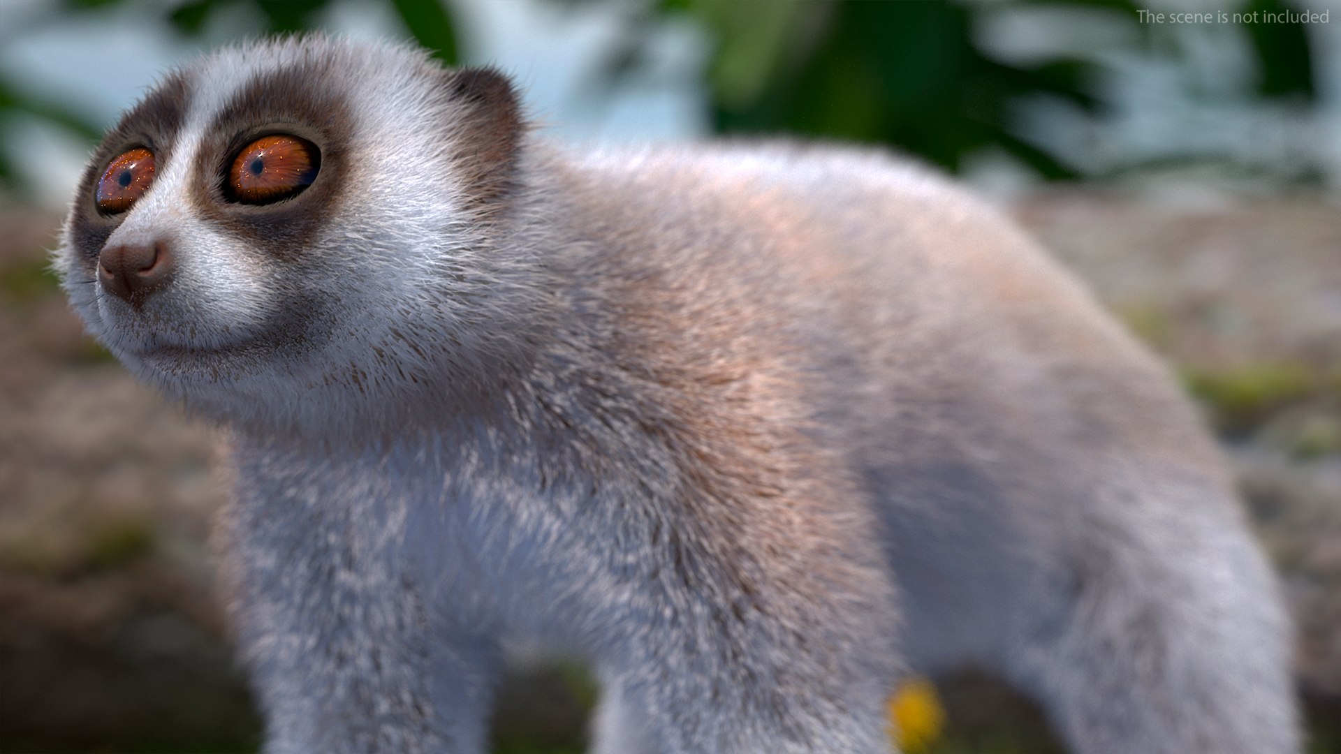Javan Slow Loris Fur Rigged 3D Model - TurboSquid 2146606