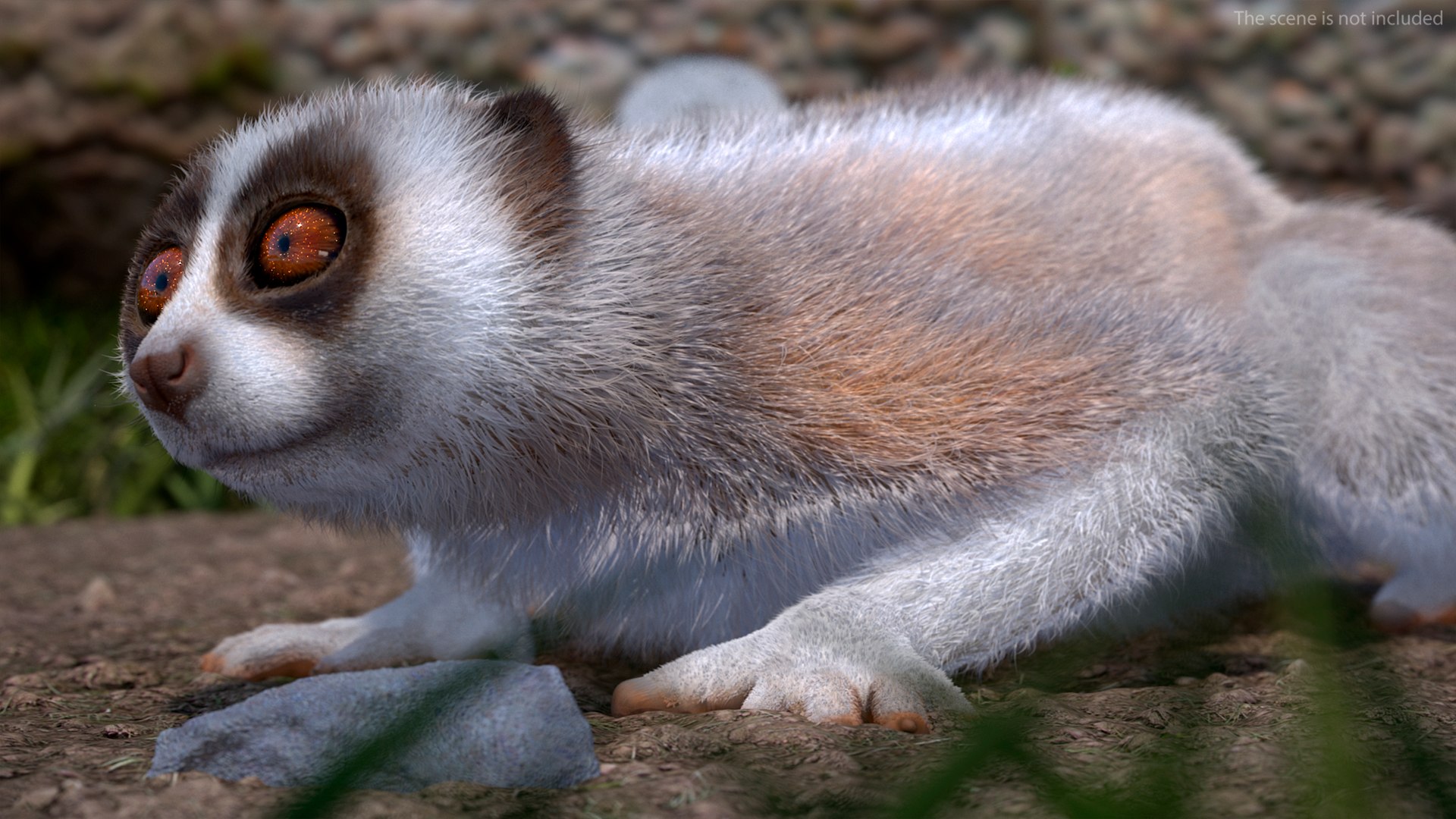 Javan Slow Loris Fur Rigged 3D Model - TurboSquid 2146606