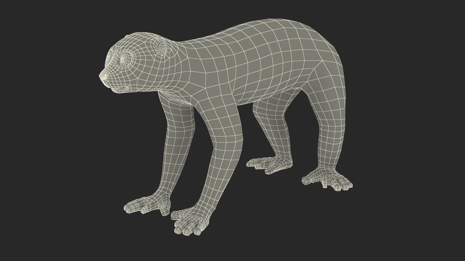 Javan Slow Loris Fur Rigged 3D Model - TurboSquid 2146606