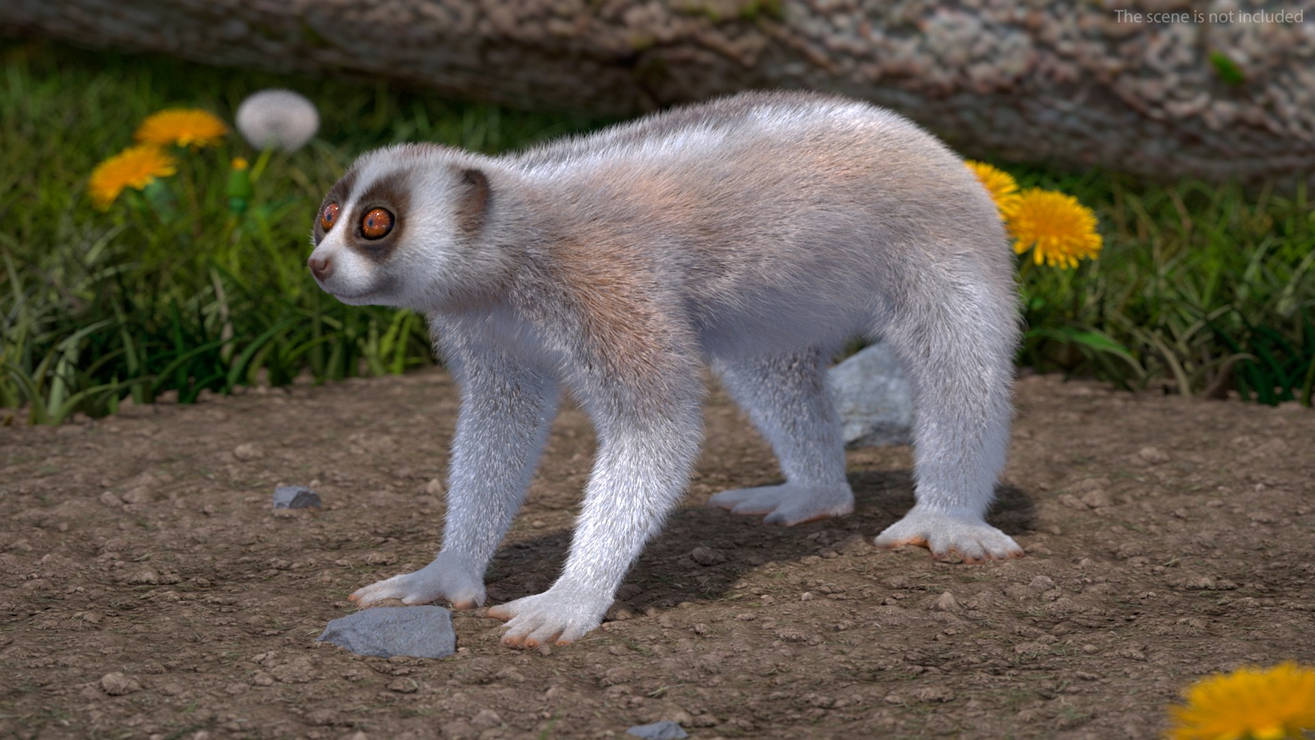Javan Slow Loris Fur Rigged 3D Model - TurboSquid 2146606