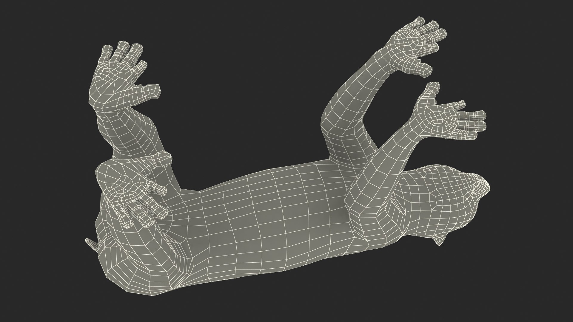 Javan Slow Loris Fur Rigged 3D model - TurboSquid 2146606