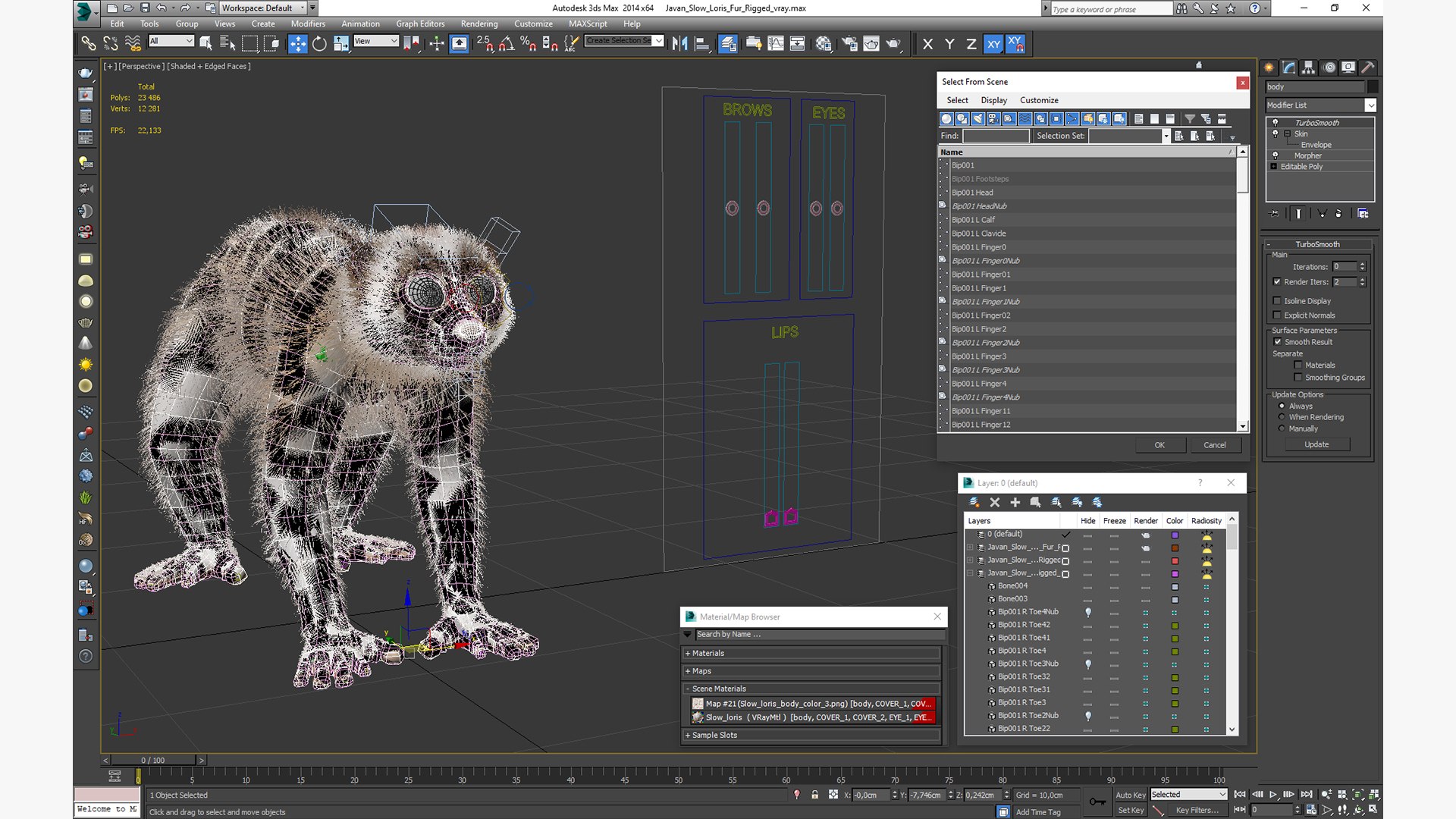 Javan Slow Loris Fur Rigged 3D model - TurboSquid 2146606