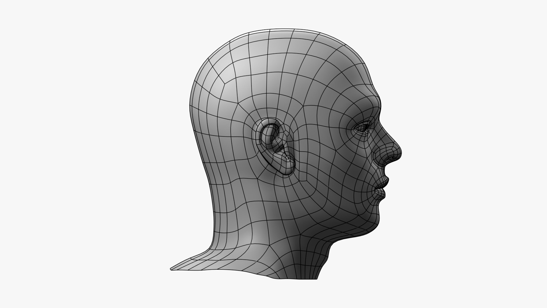 3D Male Head Base Mesh Subdivision Ready Model - TurboSquid 1987369