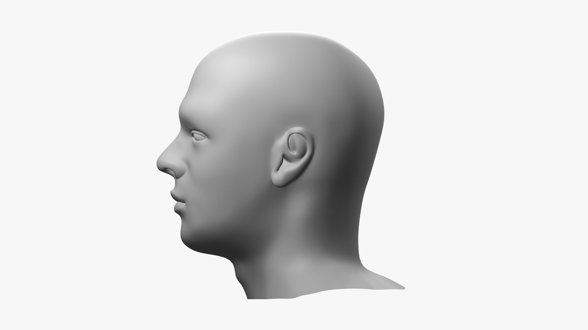 3D Male Head Base Mesh Subdivision Ready Model - TurboSquid 1987369