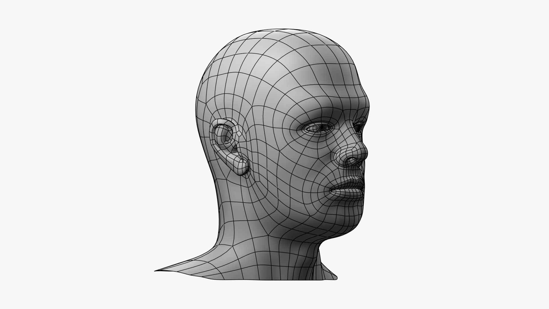 3D Male Head Base Mesh Subdivision Ready Model - TurboSquid 1987369
