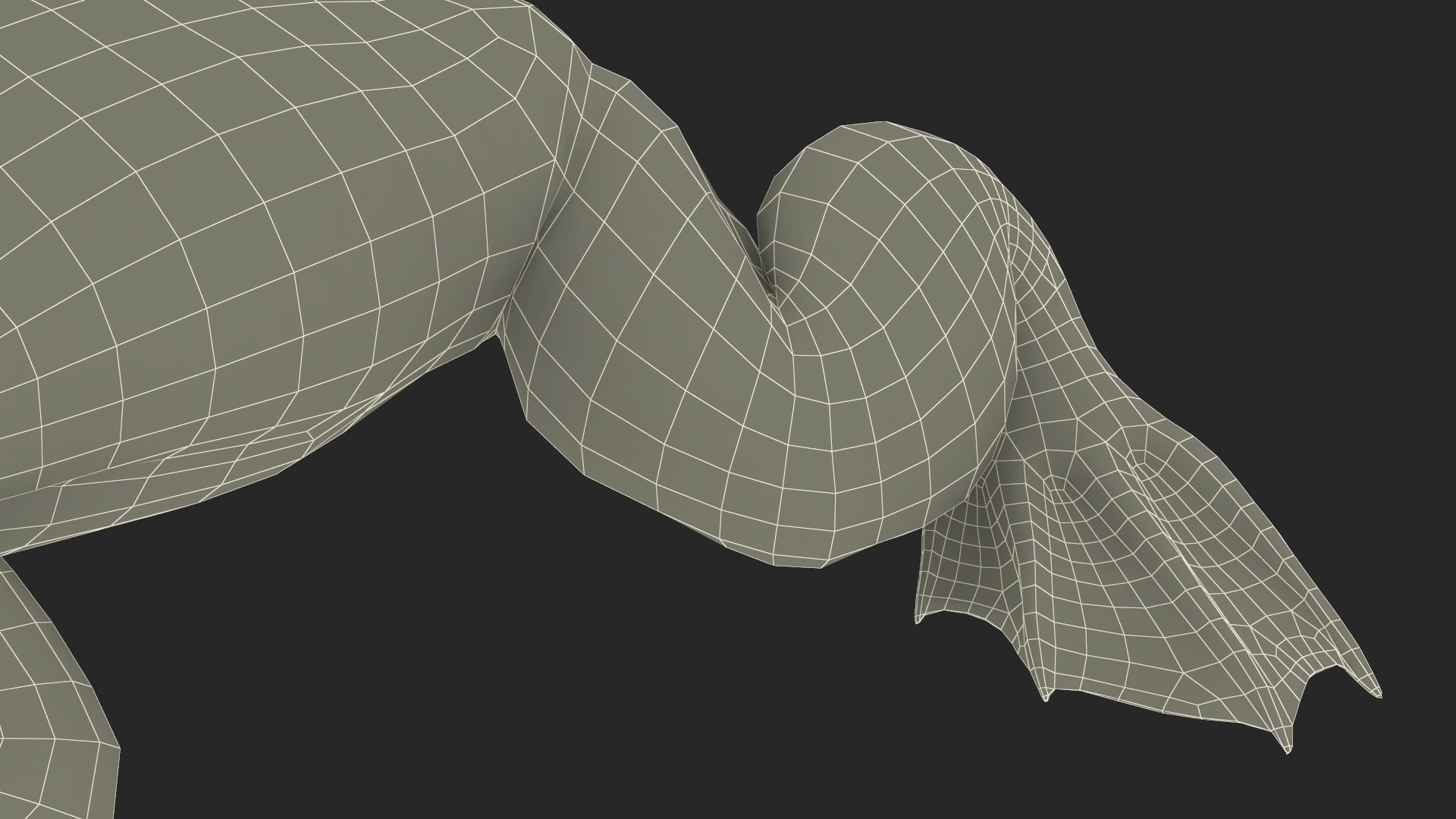 Xenopus African Clawed Toad Sits Pose 3D model - TurboSquid 2132255