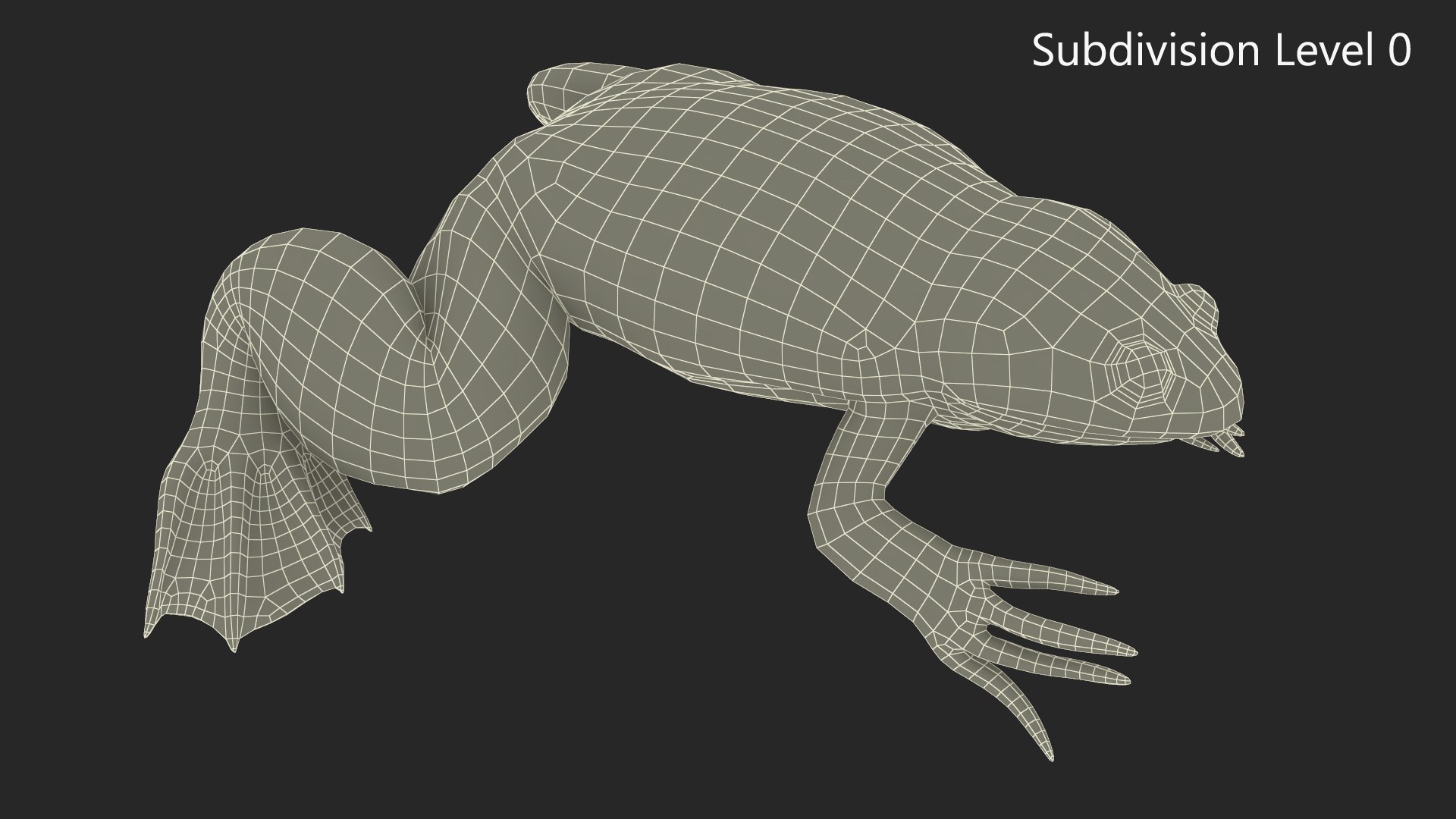 Xenopus African Clawed Toad Sits Pose 3D model - TurboSquid 2132255
