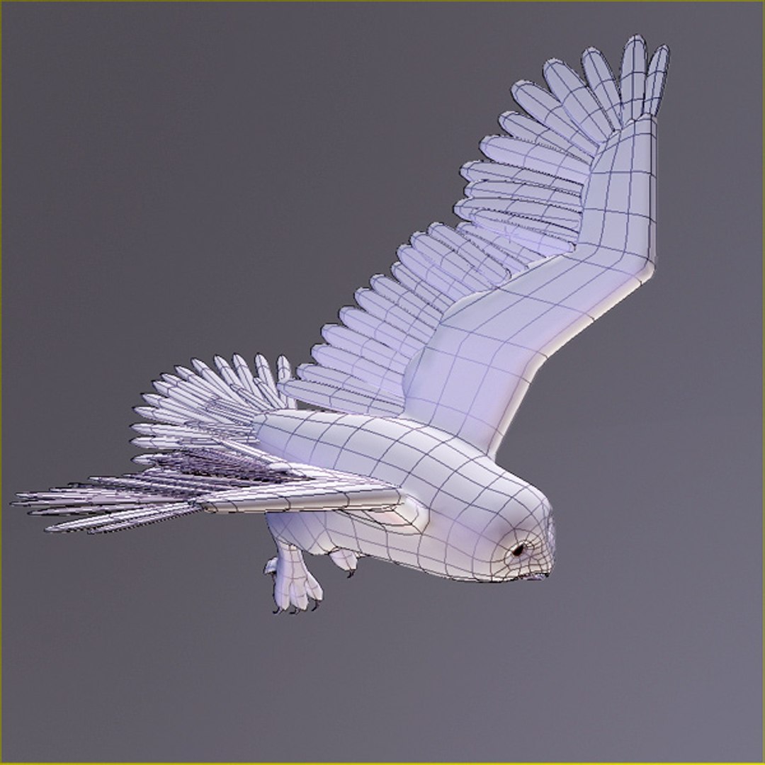3d model owl snowy