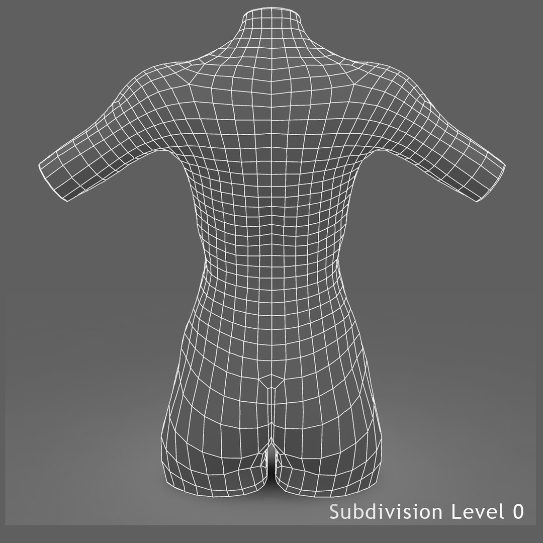 3d female torso anatomy combo
