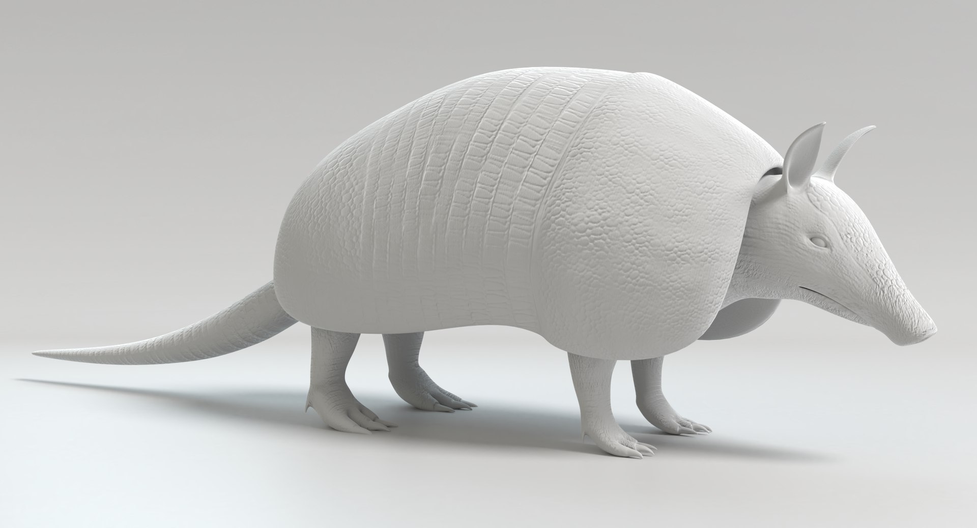 Armadillo pbr polys 3D model - TurboSquid 1281421