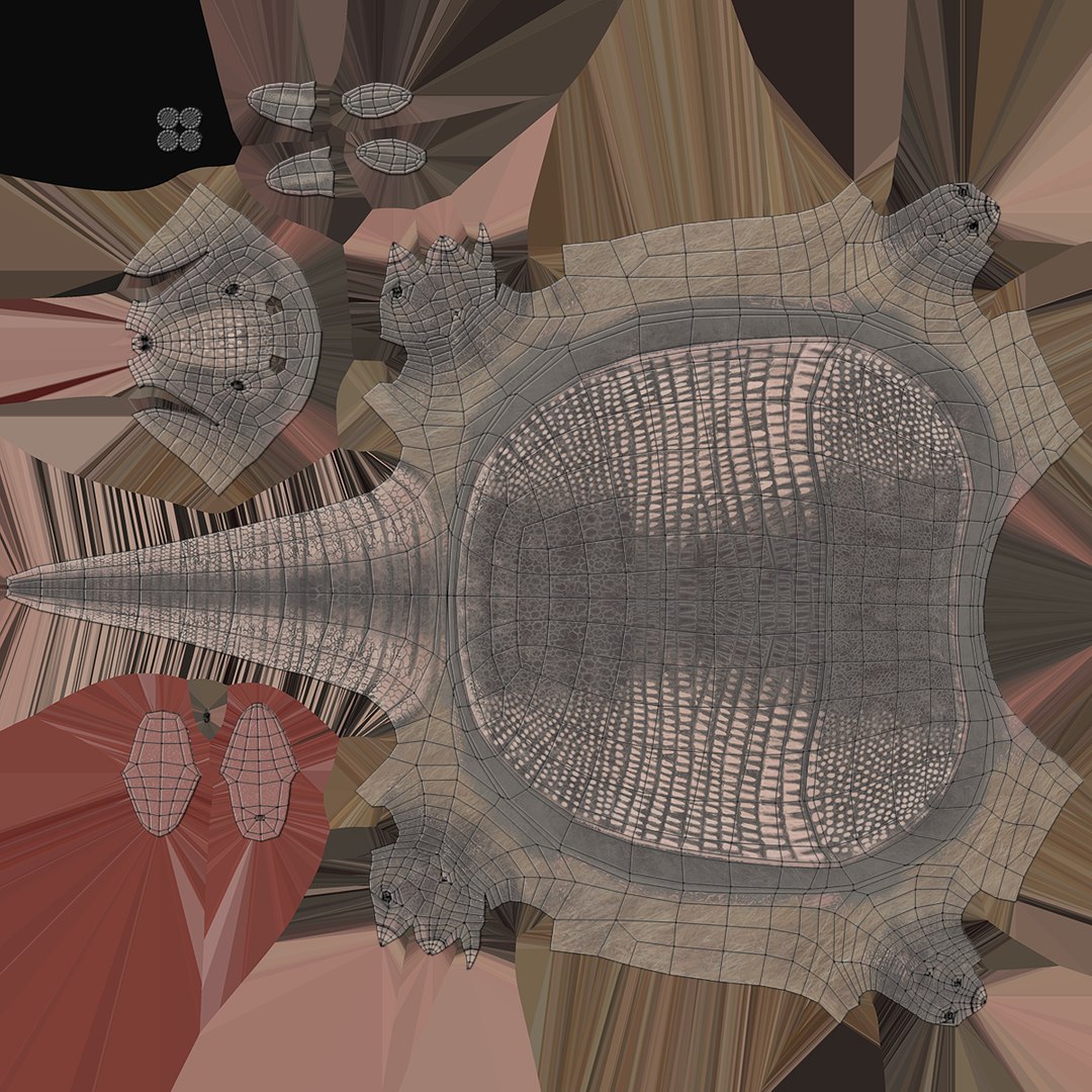 Armadillo pbr polys 3D model - TurboSquid 1281421