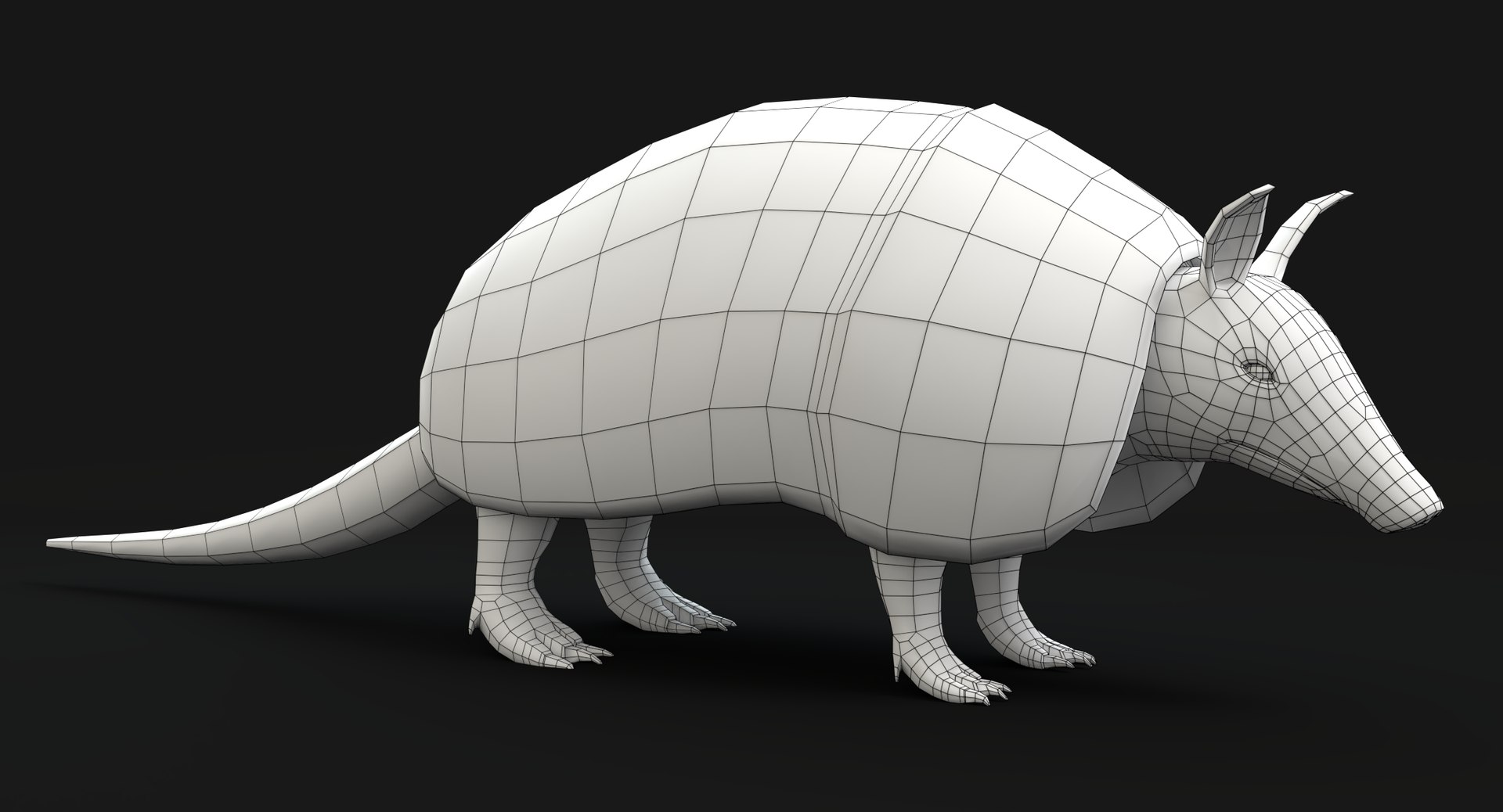 Armadillo pbr polys 3D model - TurboSquid 1281421
