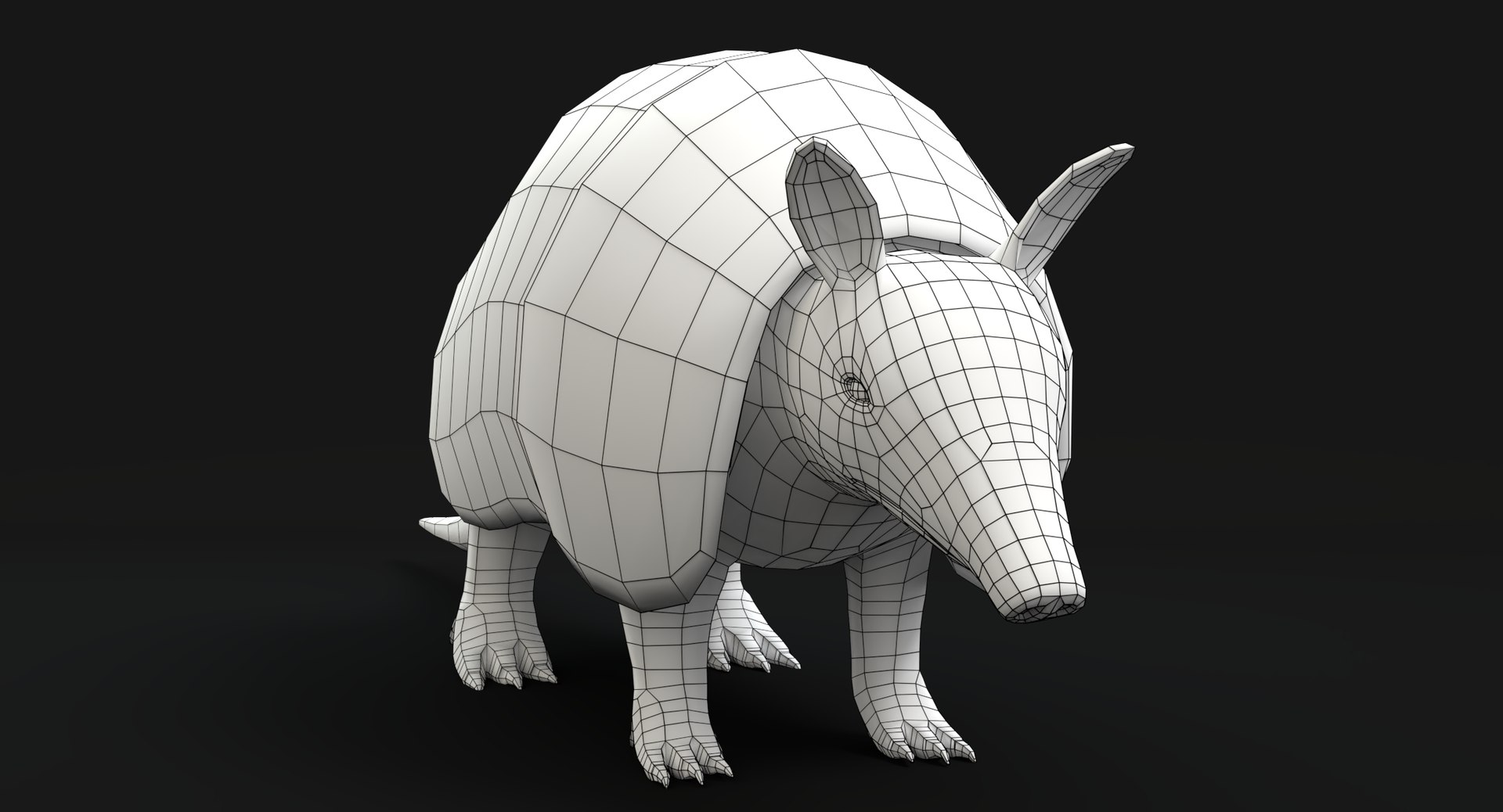 Armadillo pbr polys 3D model - TurboSquid 1281421