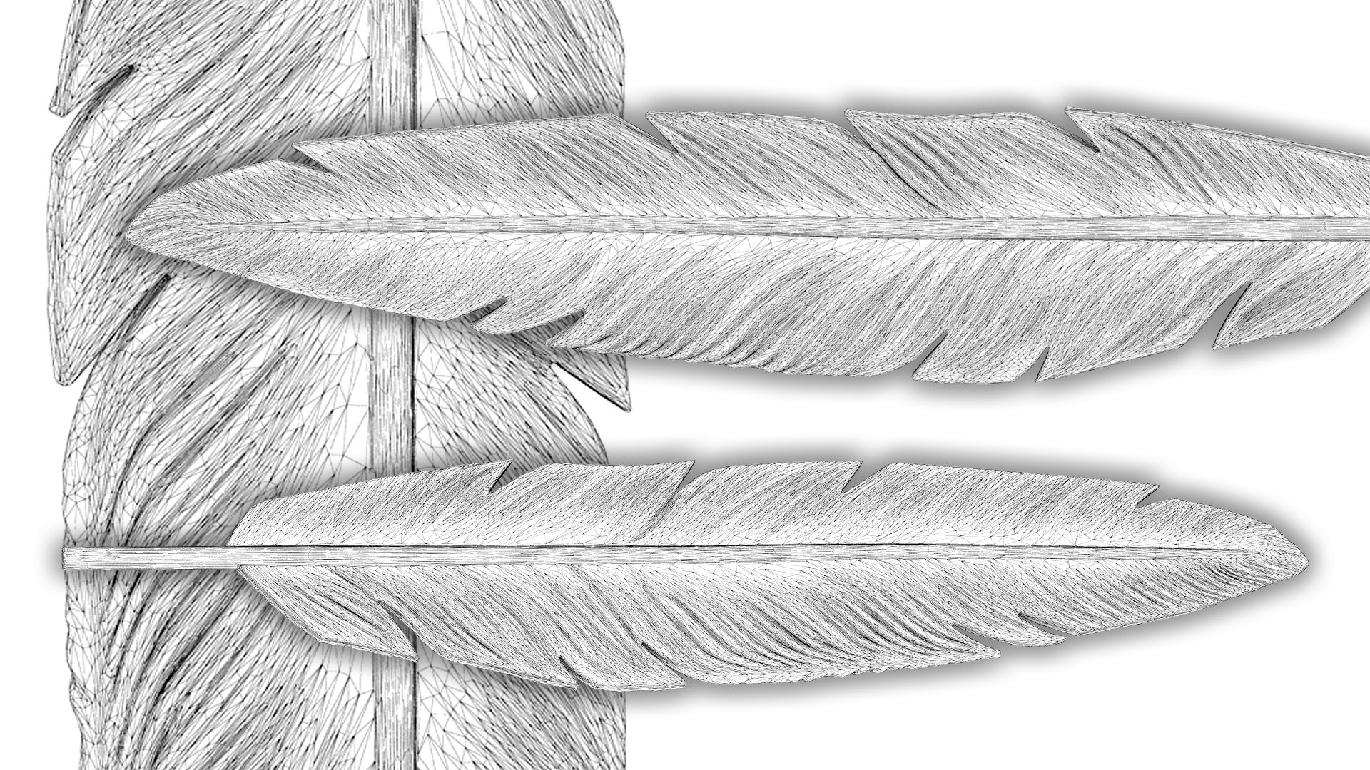 3D model feather - TurboSquid 1703201