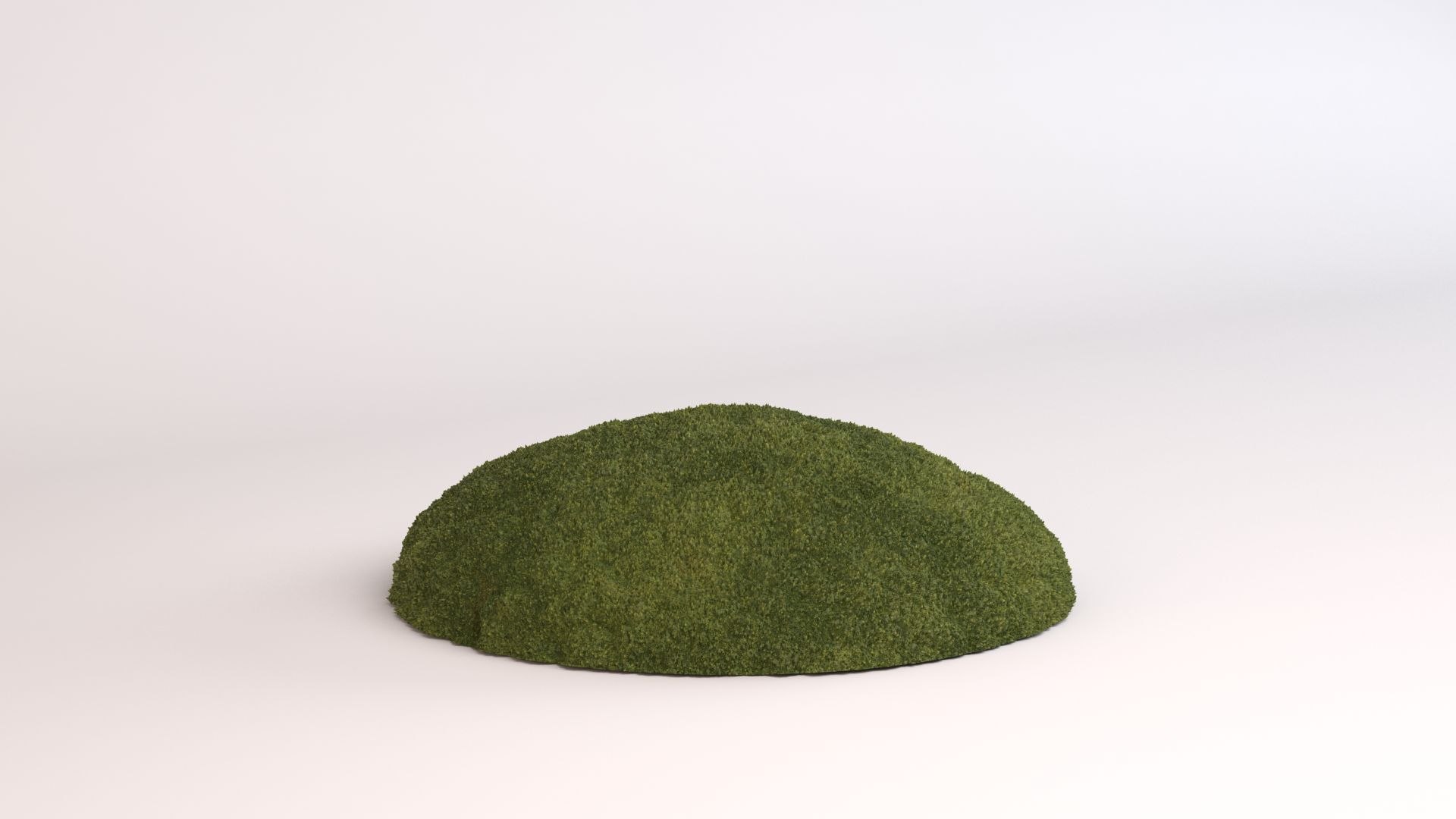 Patch Moss 3D Model - TurboSquid 1663864