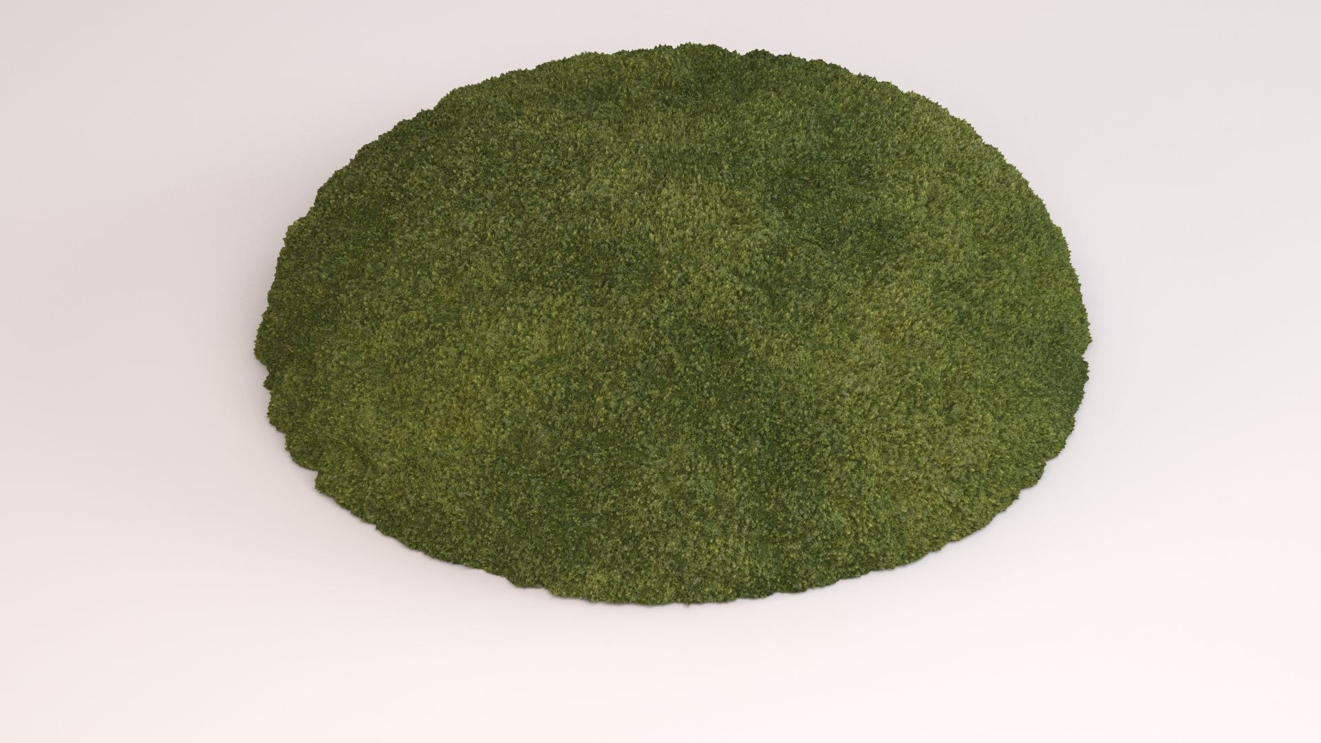 Patch Moss 3D Model - TurboSquid 1663864