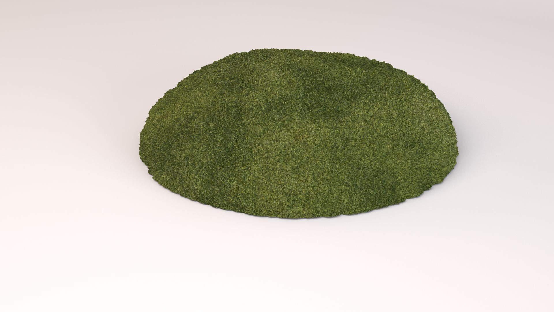 Patch Moss 3D Model - TurboSquid 1663864