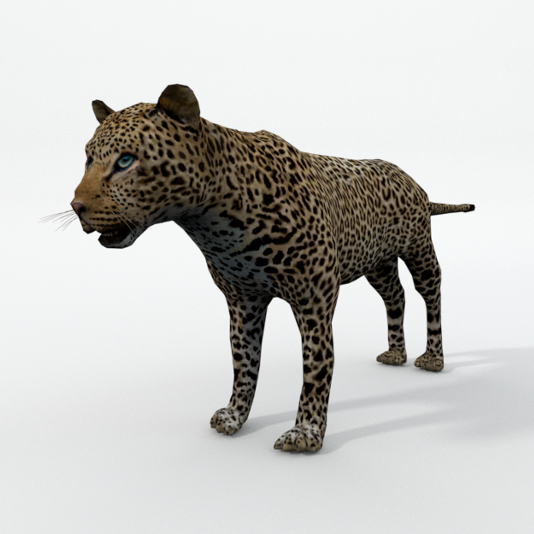 3D leopard - TurboSquid 1329935