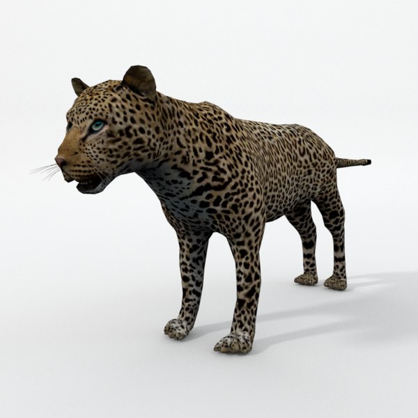 3D leopard - TurboSquid 1329935