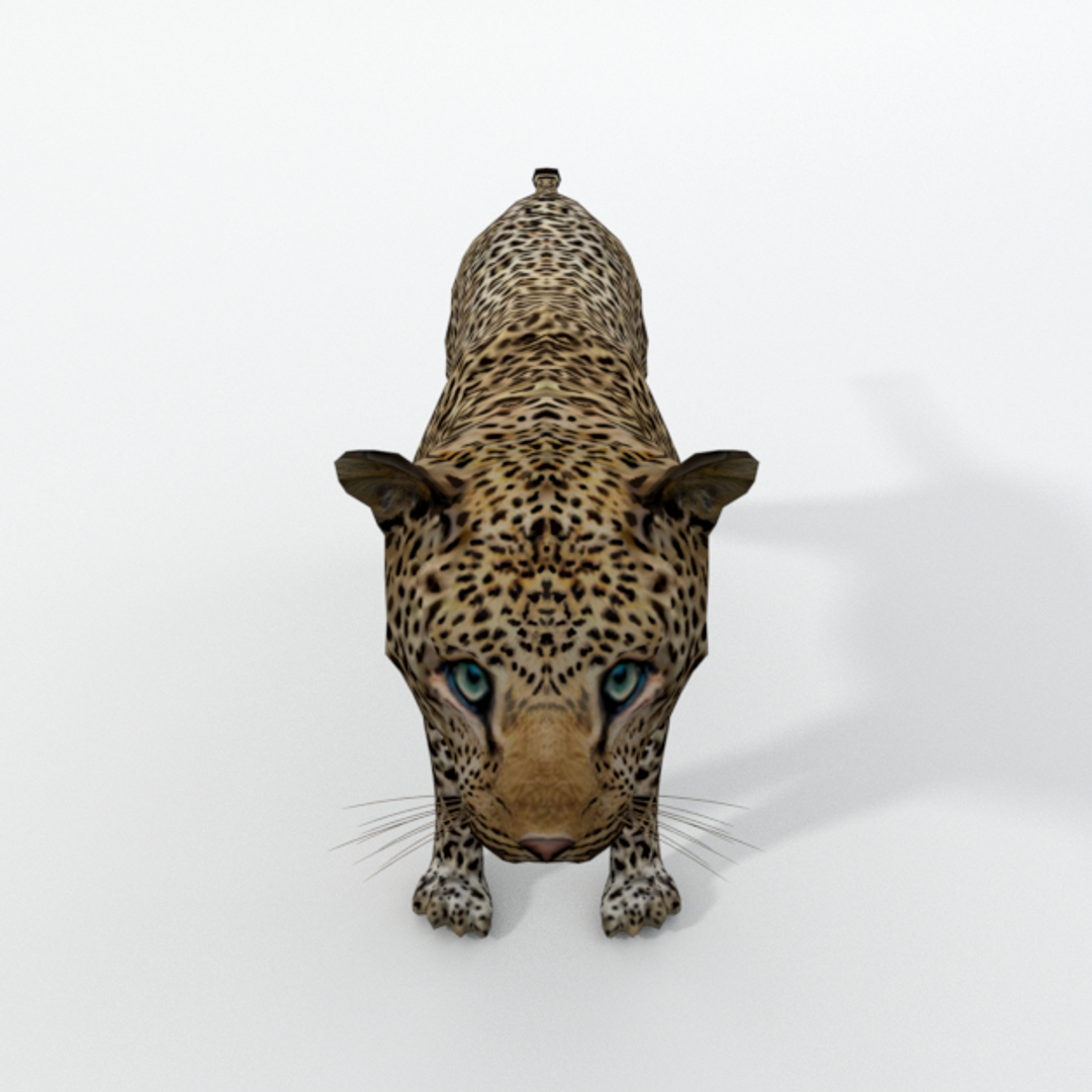 3D leopard - TurboSquid 1329935