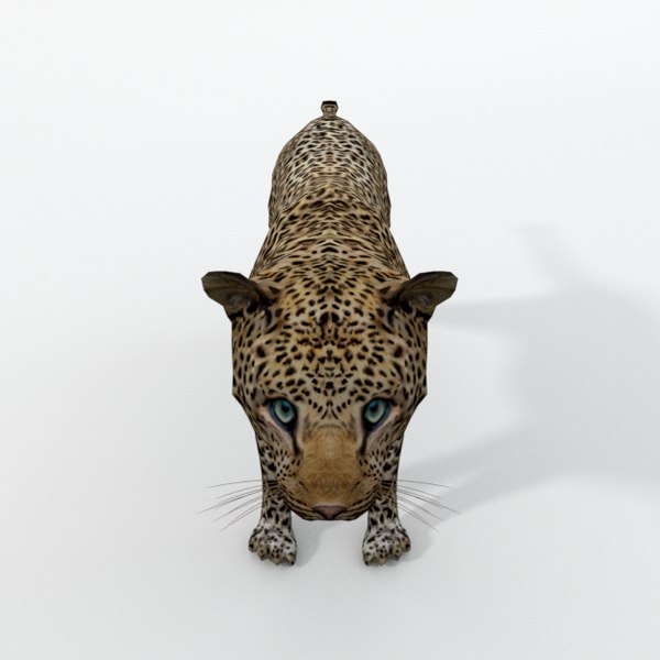 3D leopard - TurboSquid 1329935