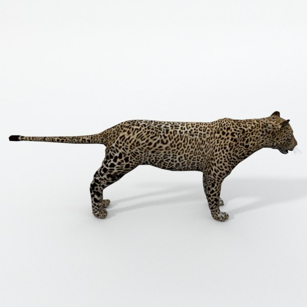 3D leopard - TurboSquid 1329935