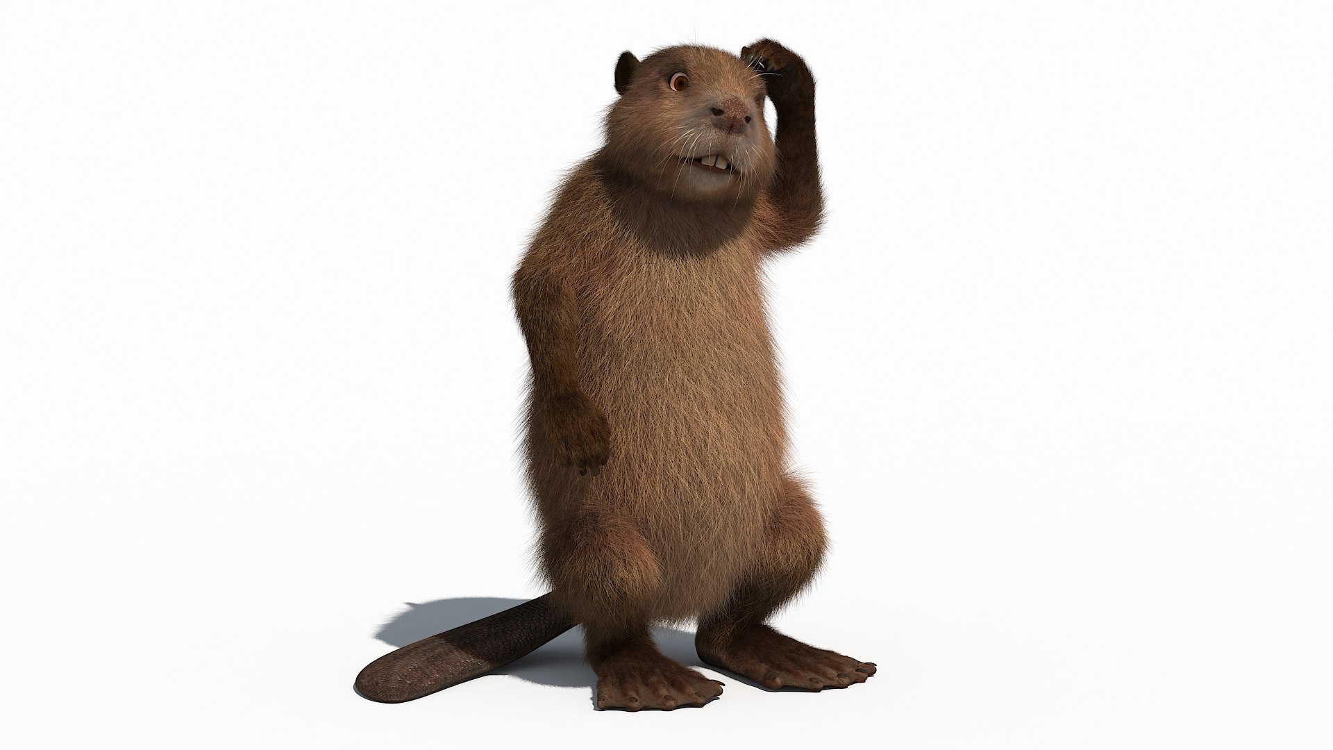 3D Cartoon Beaver model - TurboSquid 2142286