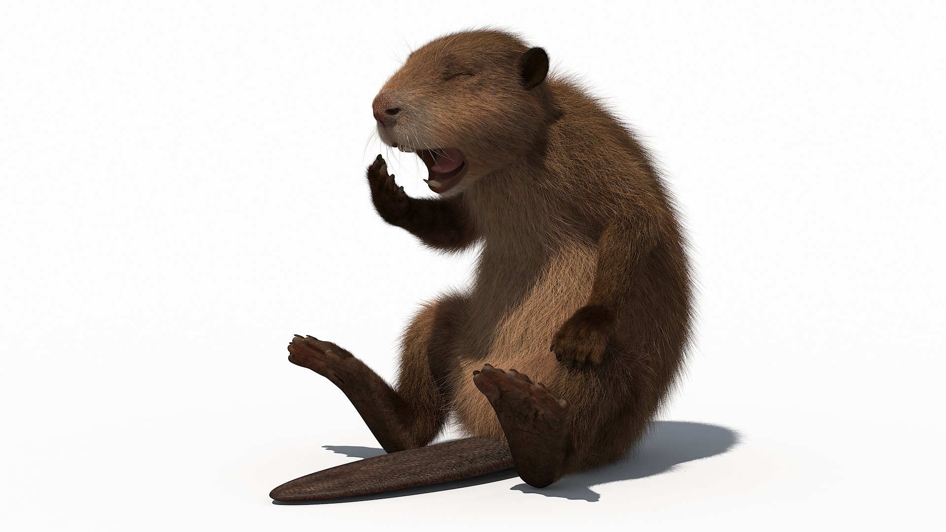 3D Cartoon Beaver model - TurboSquid 2142286