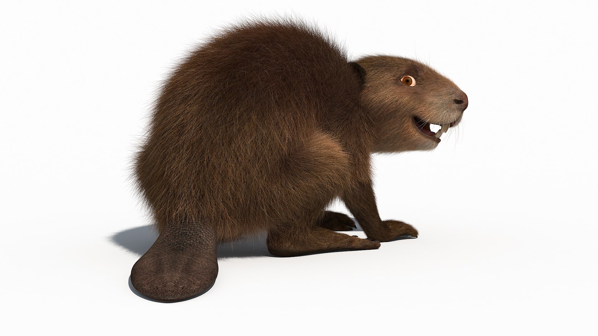 3D Cartoon Beaver model - TurboSquid 2142286