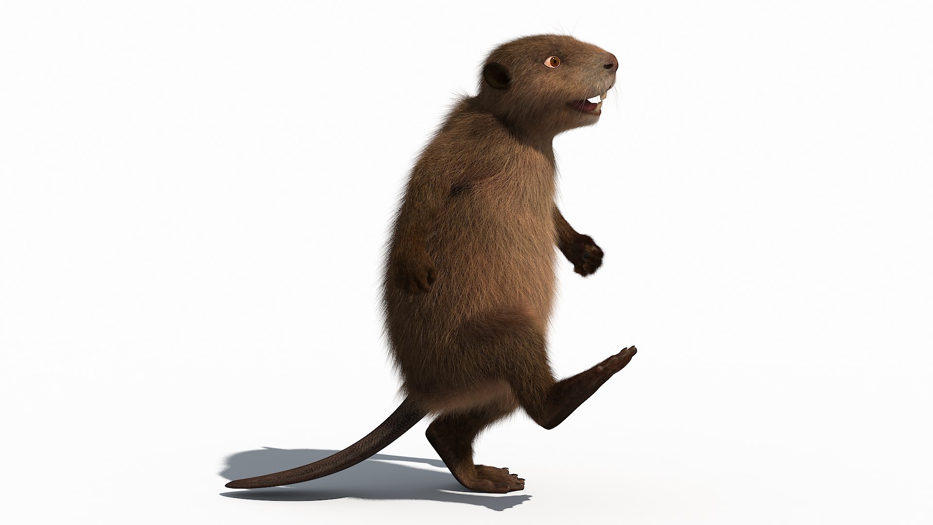 3D Cartoon Beaver model - TurboSquid 2142286