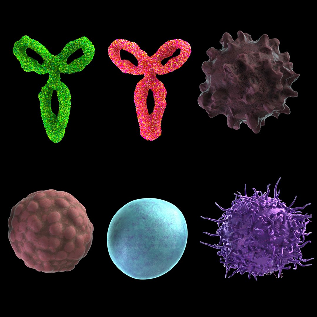 Cells Pack Model - TurboSquid 2250208