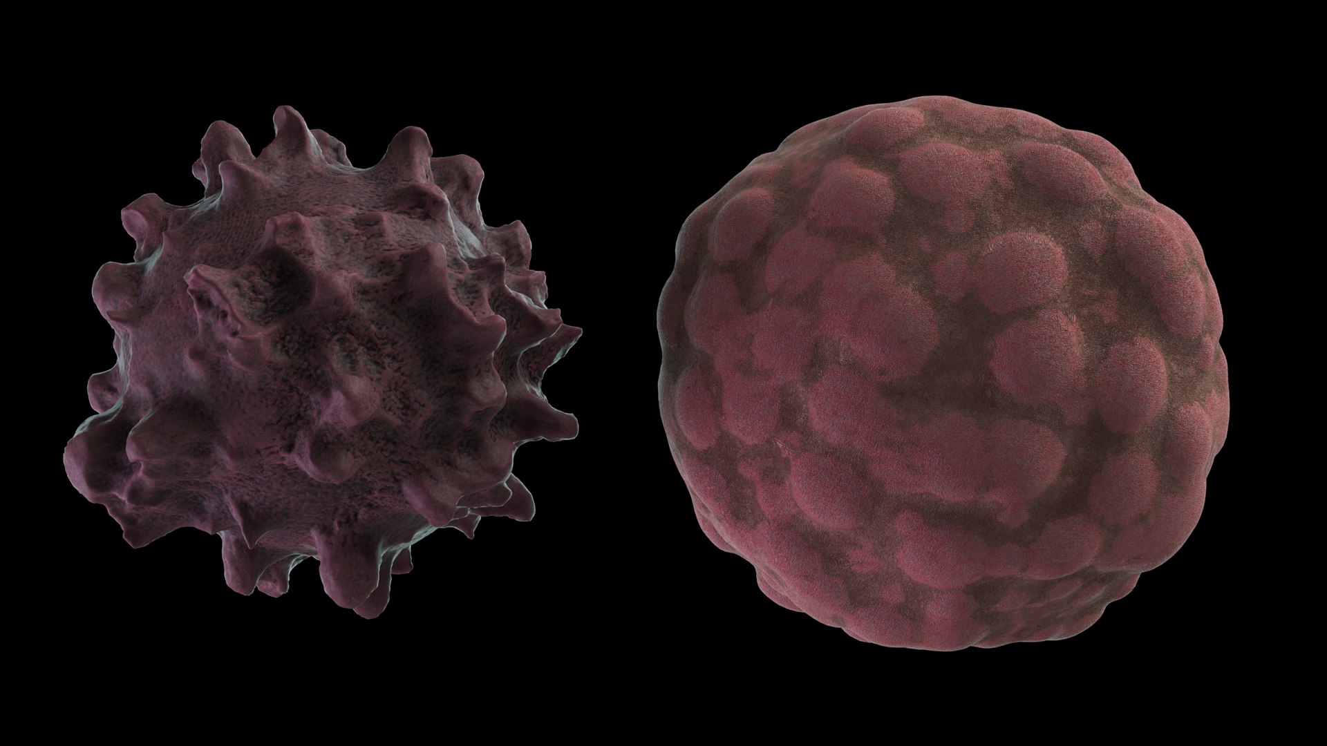 Cells Pack Model - TurboSquid 2250208