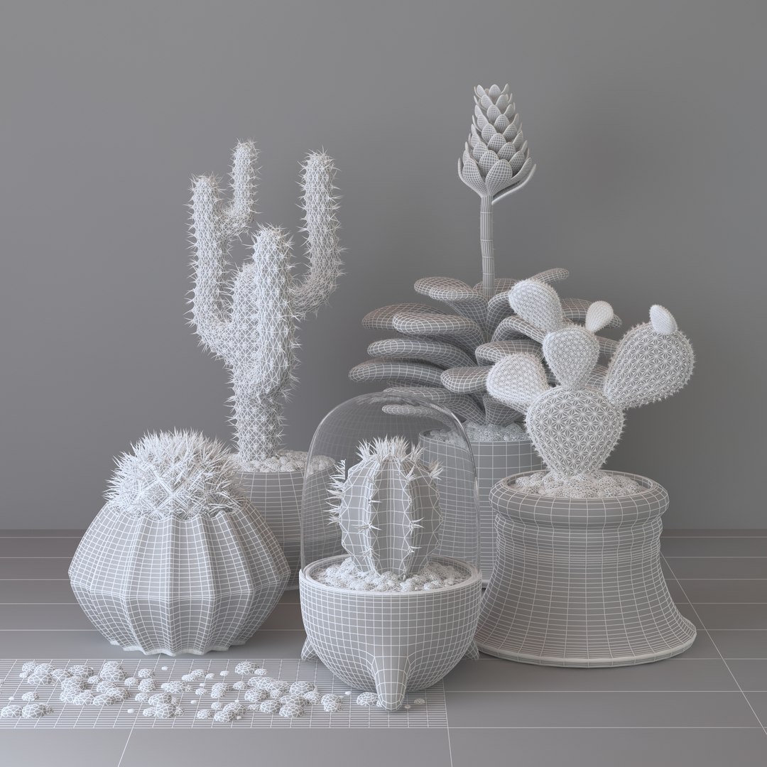Cactus Set Model - TurboSquid 1173951