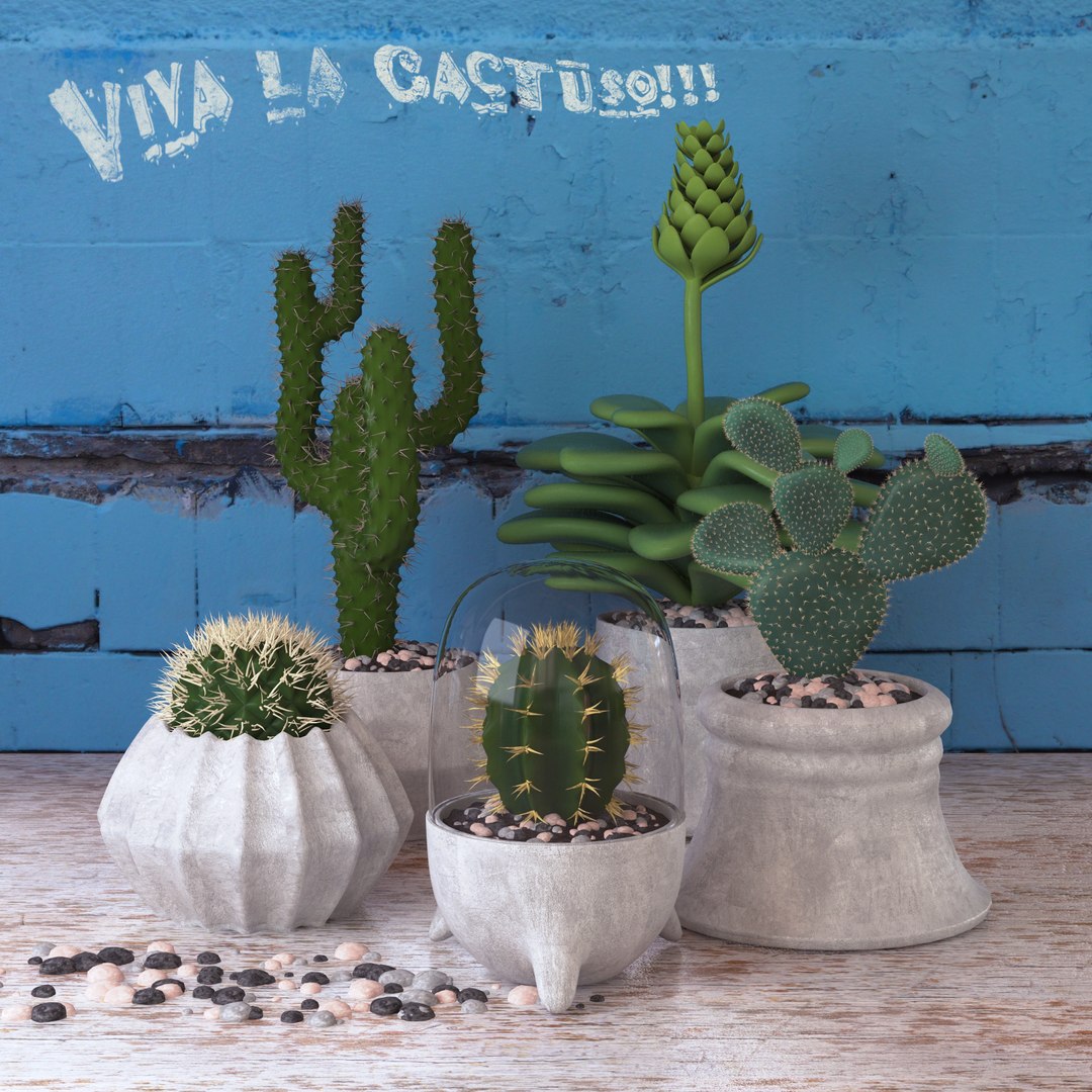 Cactus Set Model - TurboSquid 1173951