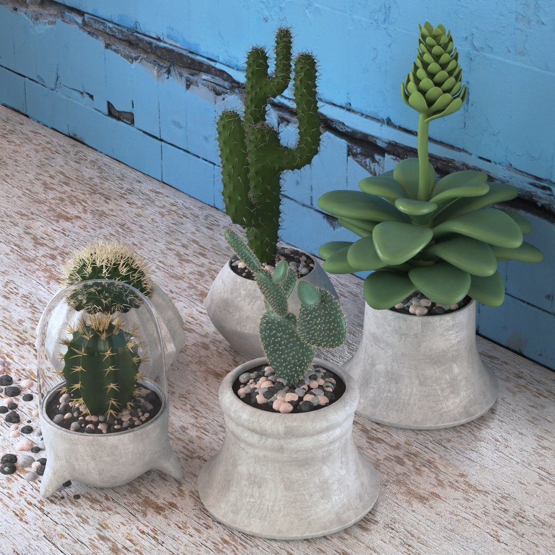 Cactus Set Model - TurboSquid 1173951