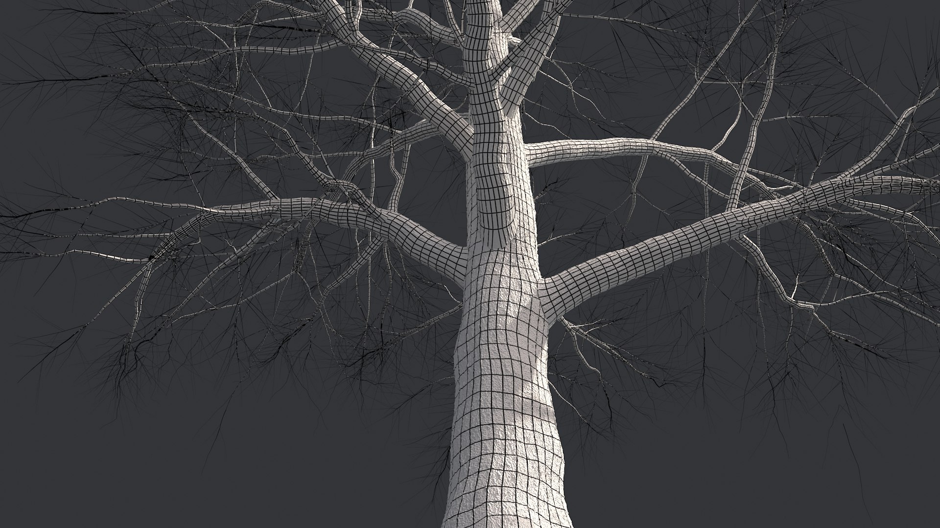 Tree trunk 3D model - TurboSquid 1501371