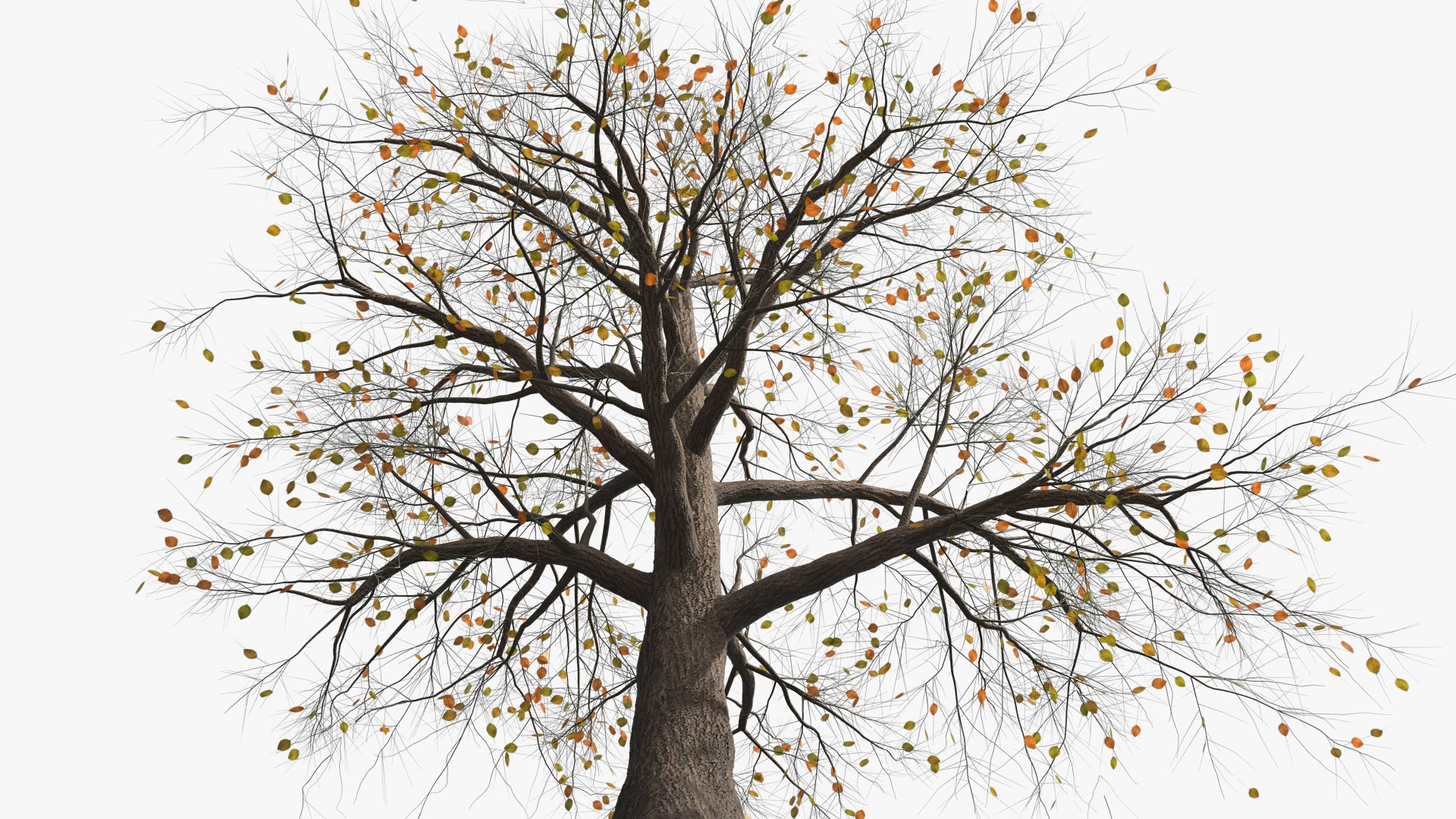 Tree trunk 3D model - TurboSquid 1501371