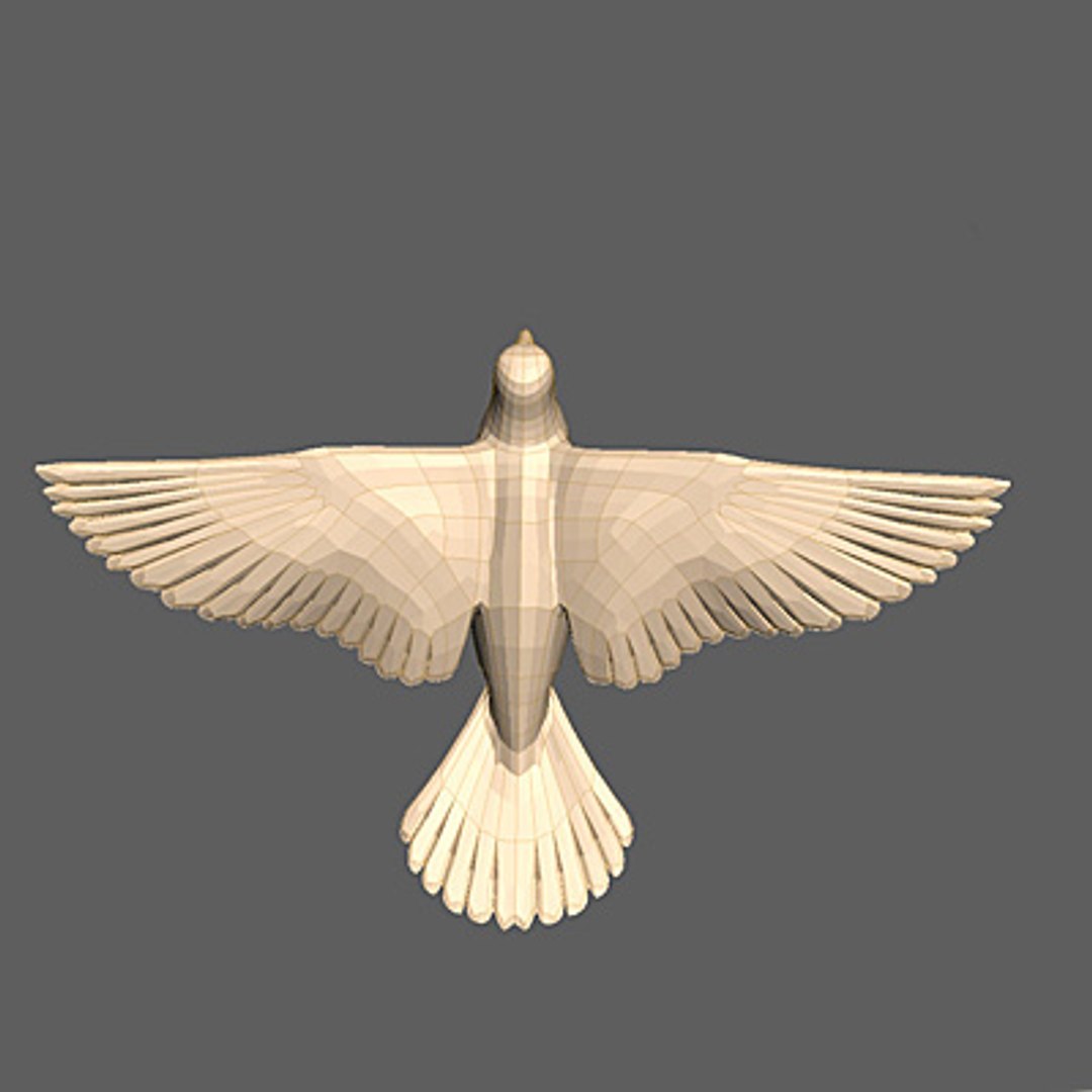 Bird 3d Model