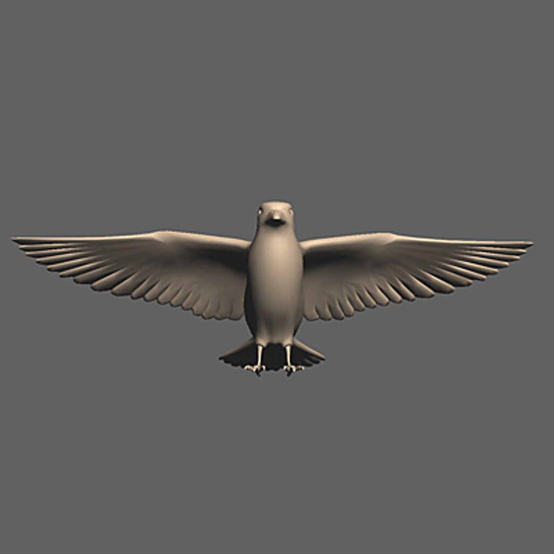 Bird 3d Model
