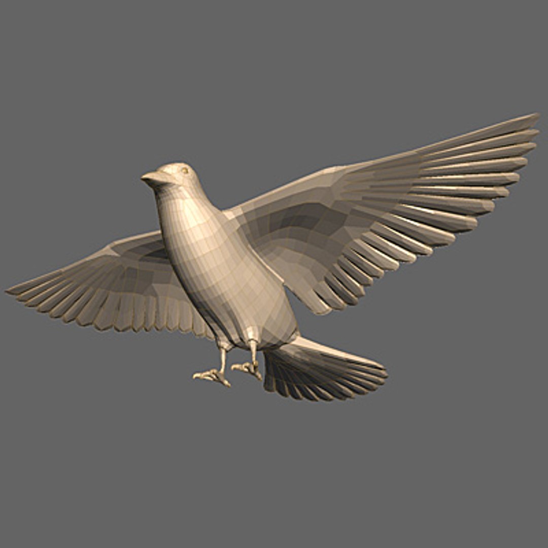 Bird 3d Model