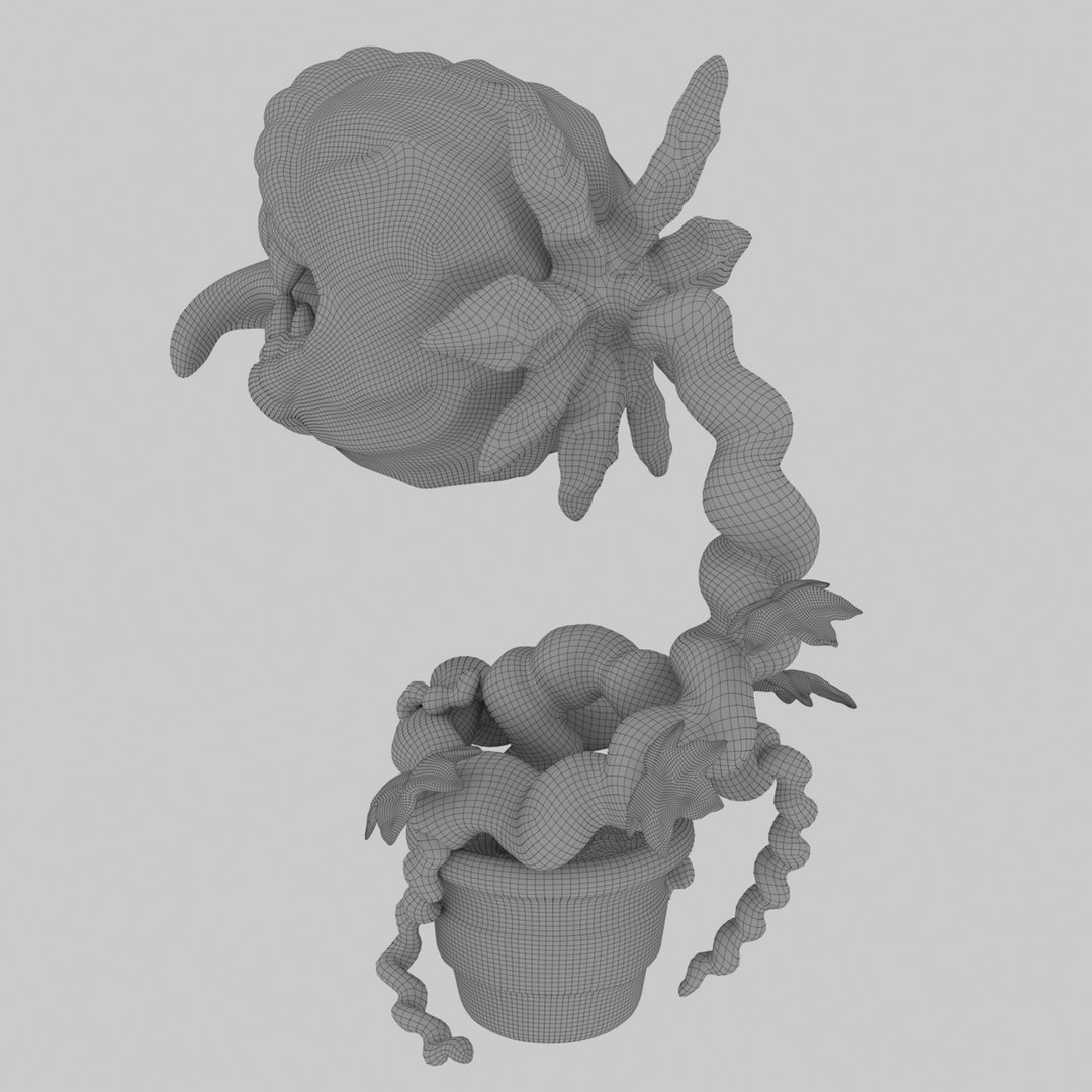 3D Model Carnivorous Flower - TurboSquid 1856730
