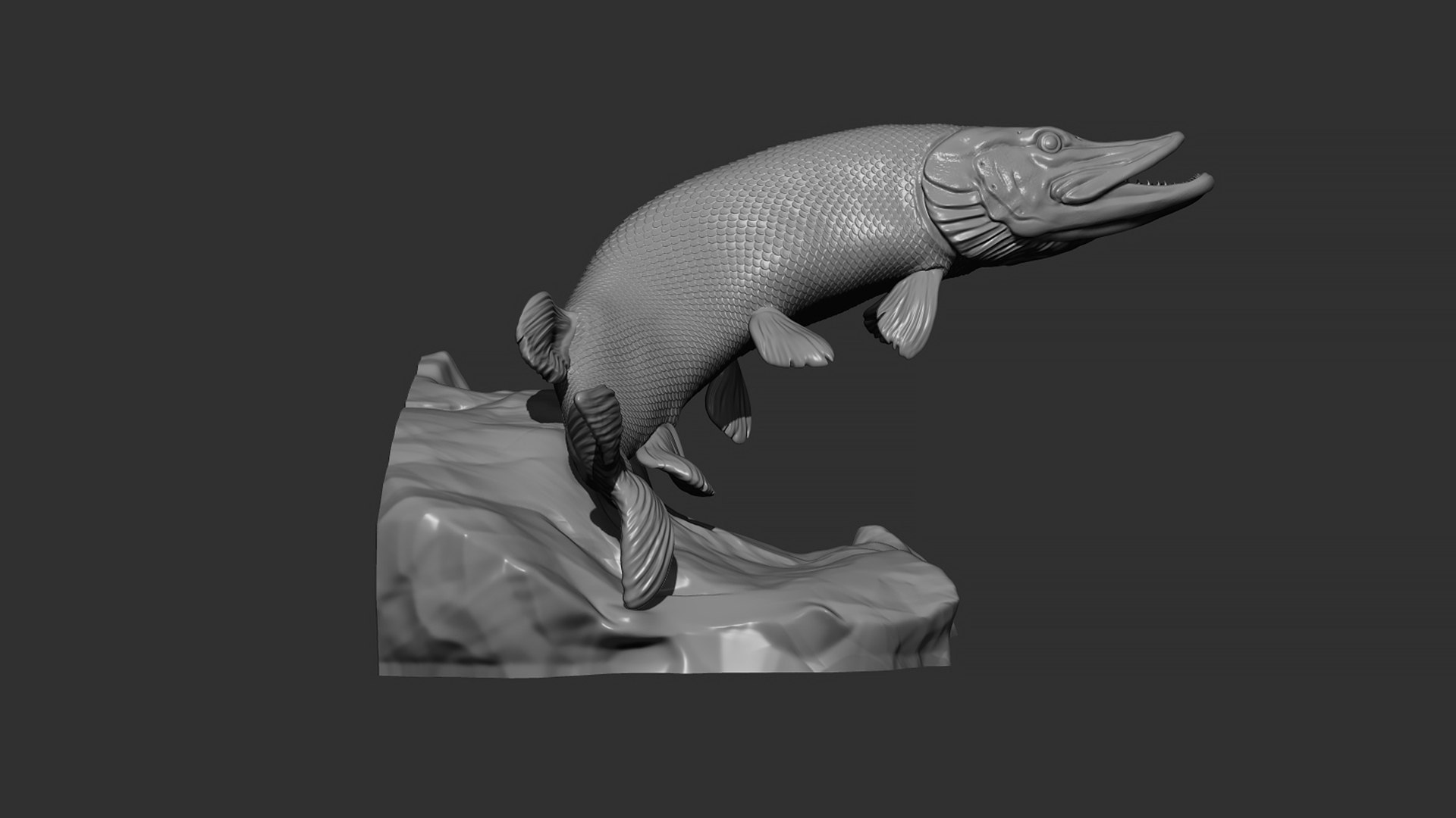 Pike fish 3D model - TurboSquid 1916182