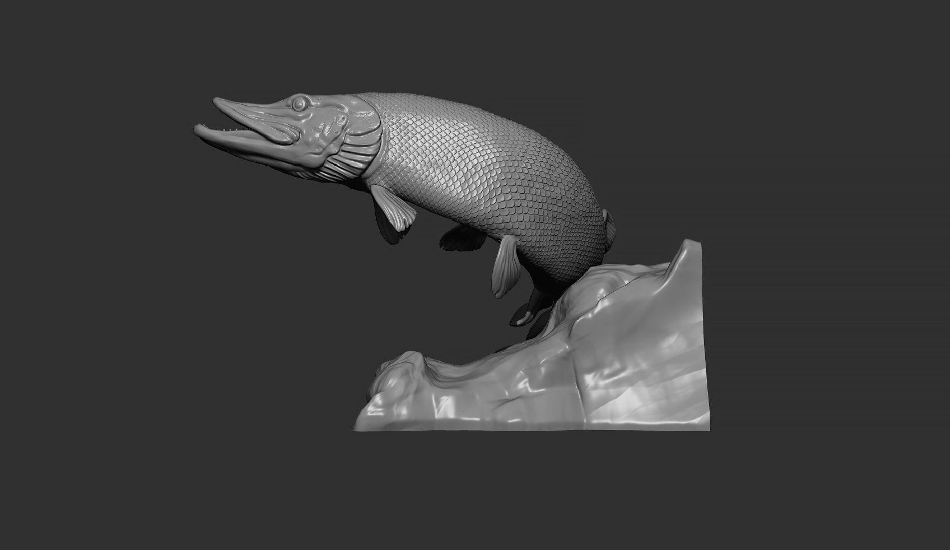 Pike fish 3D model - TurboSquid 1916182